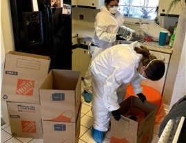 Pack Out Services | Pack Out Services in Florida